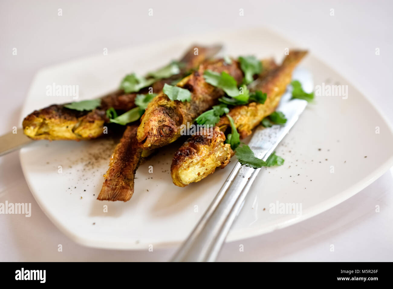 Grilled fish on white plate on grey background Stock Photo - Alamy