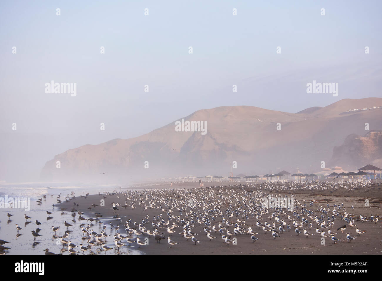 San Antonio beach in Chilca, south of Lima, Peru, at early AM Stock ...