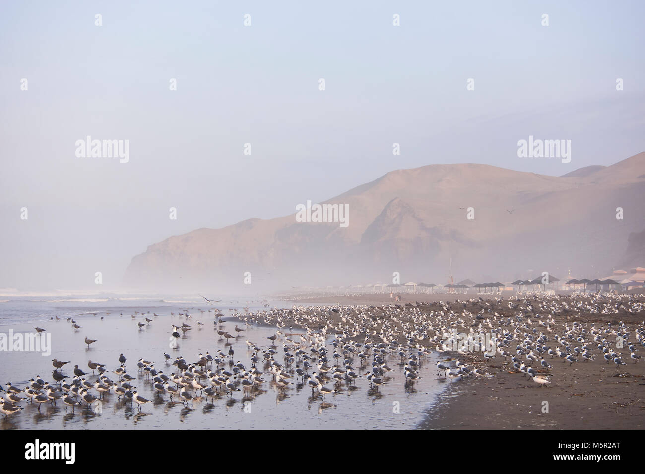 San Antonio beach in Chilca, south of Lima, Peru, at early AM Stock ...