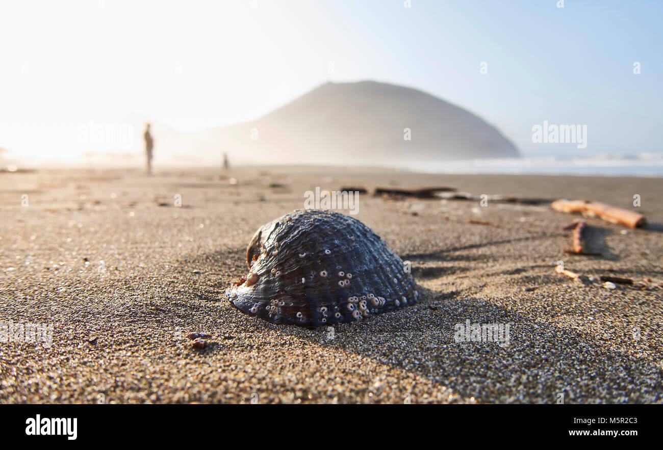 San Antonio beach in Chilca, south of Lima, Peru, at early AM Stock ...