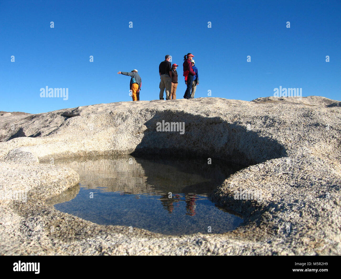 Desert Instititute Class & tank on South Astrodome Stock Photo - Alamy