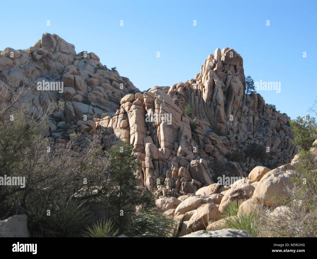 Desert Queen Ranch (Keys Ranch Stock Photo - Alamy