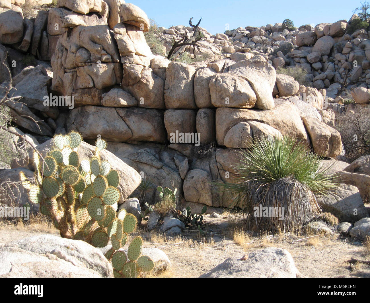 Desert Queen Ranch (Keys Ranch Stock Photo - Alamy
