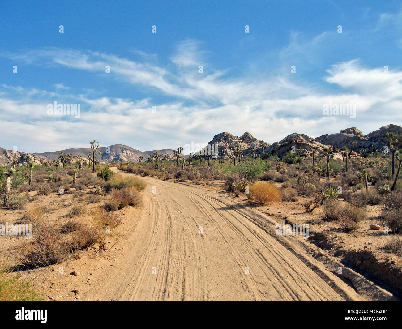 Desert Queen Ranch Road Stock Photo - Alamy