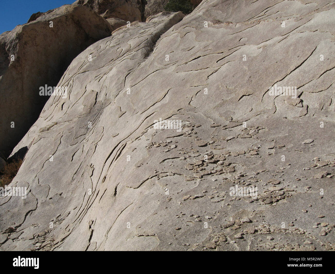 Joshua tree wonderland of rocks hi-res stock photography and images - Alamy