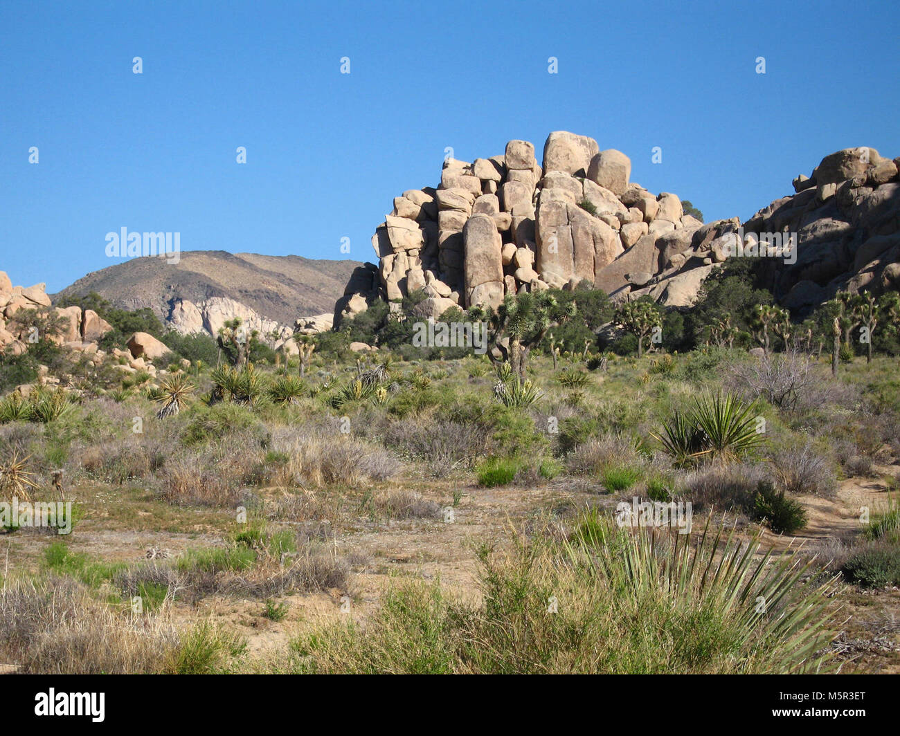 Hidden Valley Stock Photo - Alamy