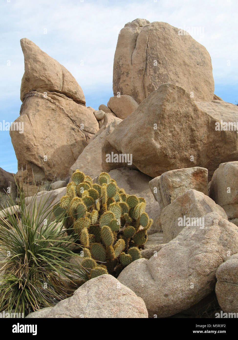 Hidden valley preserve hi-res stock photography and images - Alamy