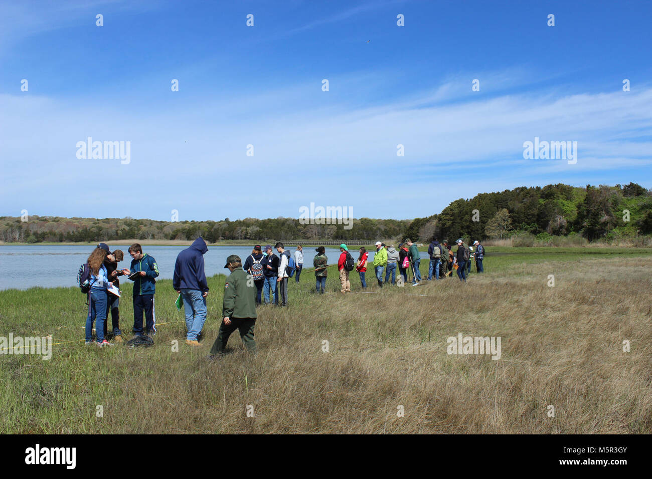 IMG . Students from Minuteman High School line the salt marsh coast at ...
