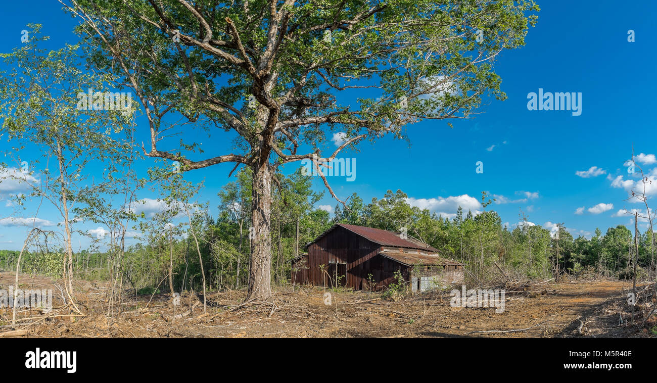 The old, abandoned Sarepta School Gymnasium Building. Located at the ...