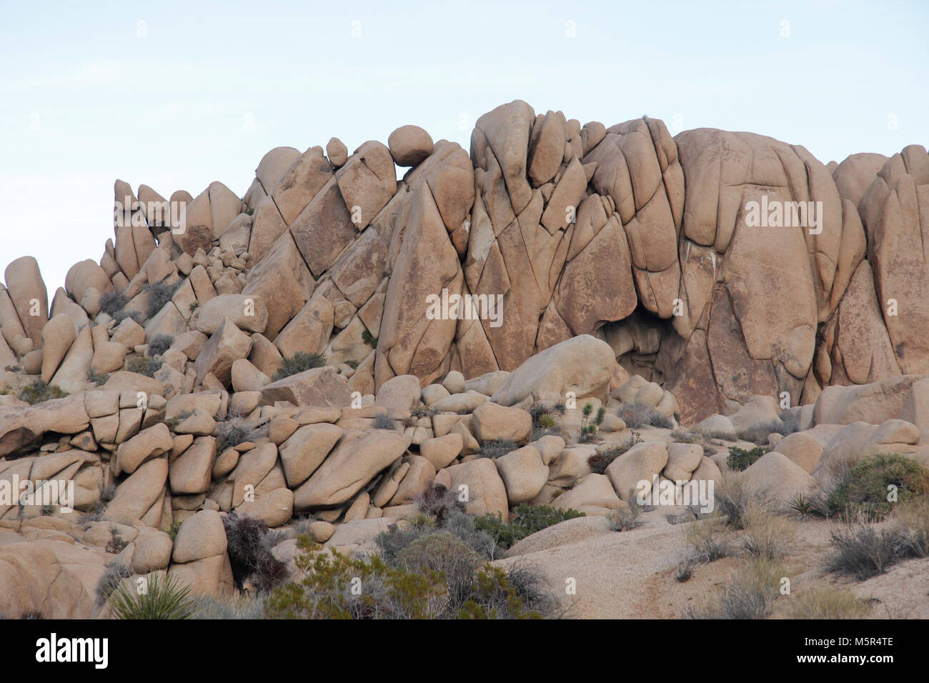 Jumbo Rocks Campground . Centrally located, Jumbo Rocks Campground ...