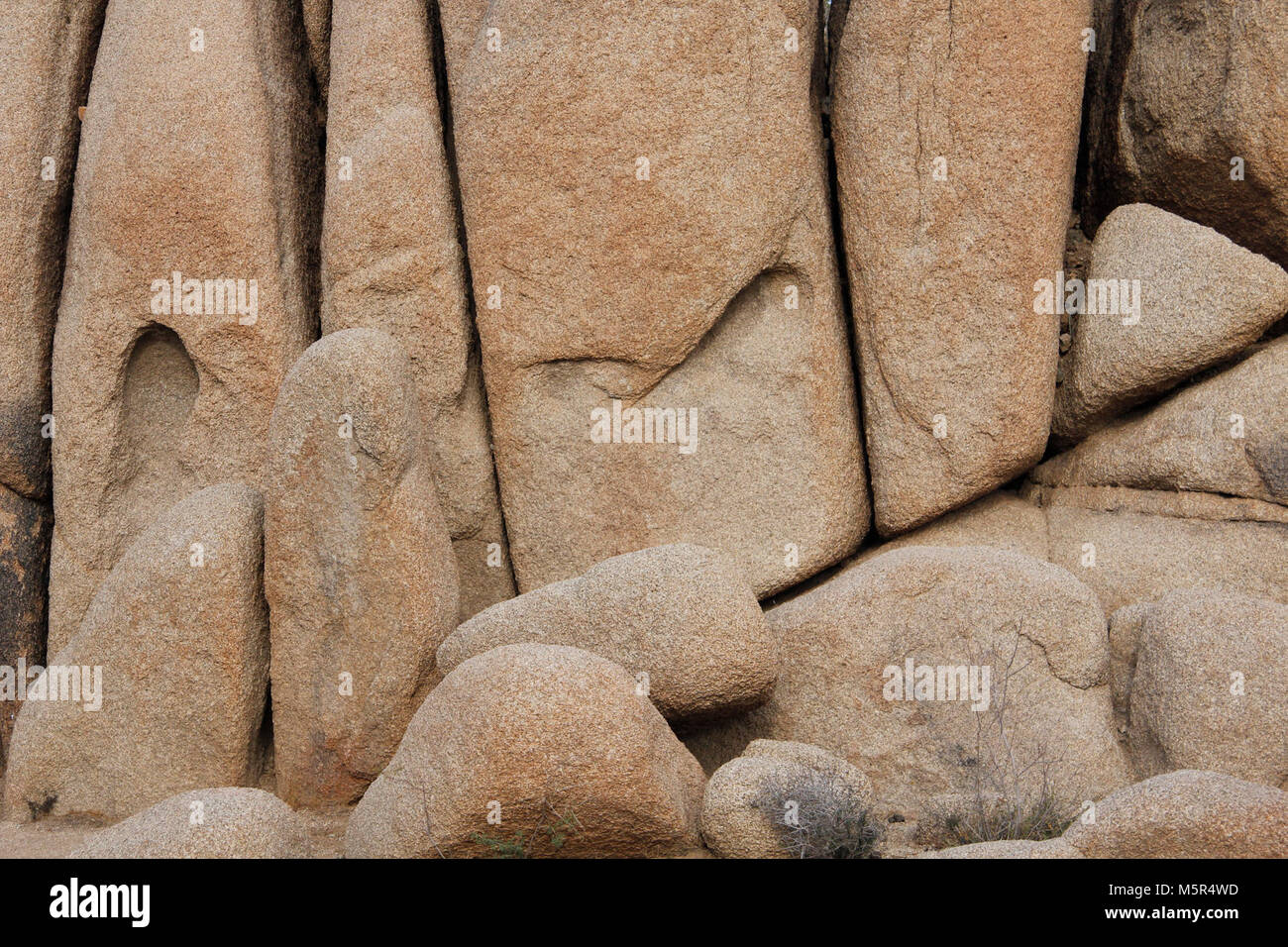 Jumbo Rocks Campground . Centrally located, Jumbo Rocks Campground ...