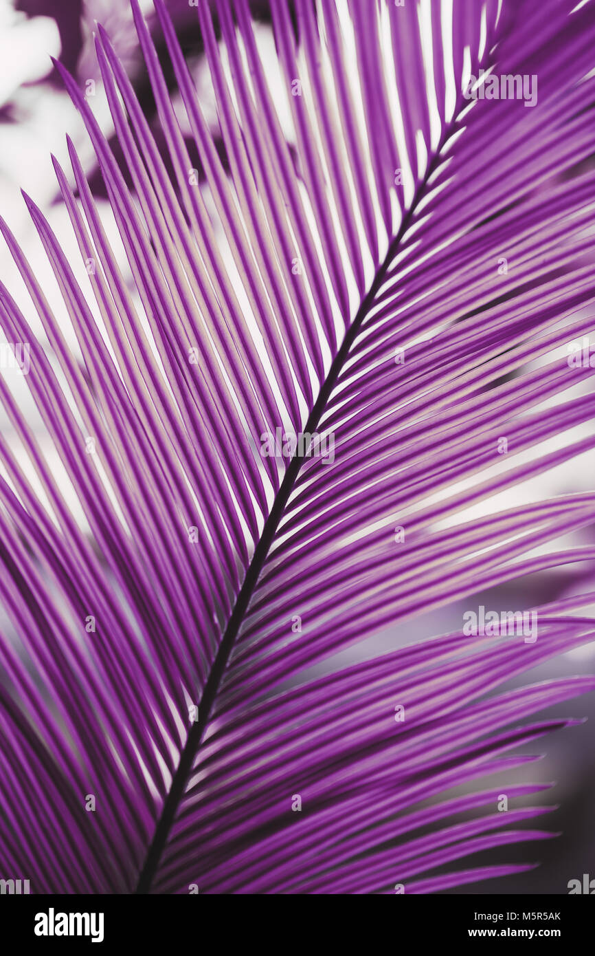Leaves Leaf Of Plant. Toned Photo In Ultra Violet Color Stock Photo - Alamy