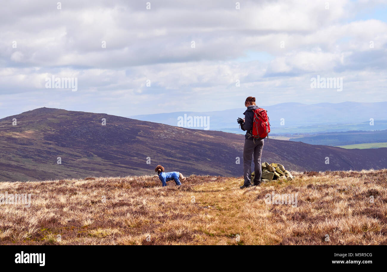 A hiker checking their position on a GPS map at the cairn marking Coomb ...