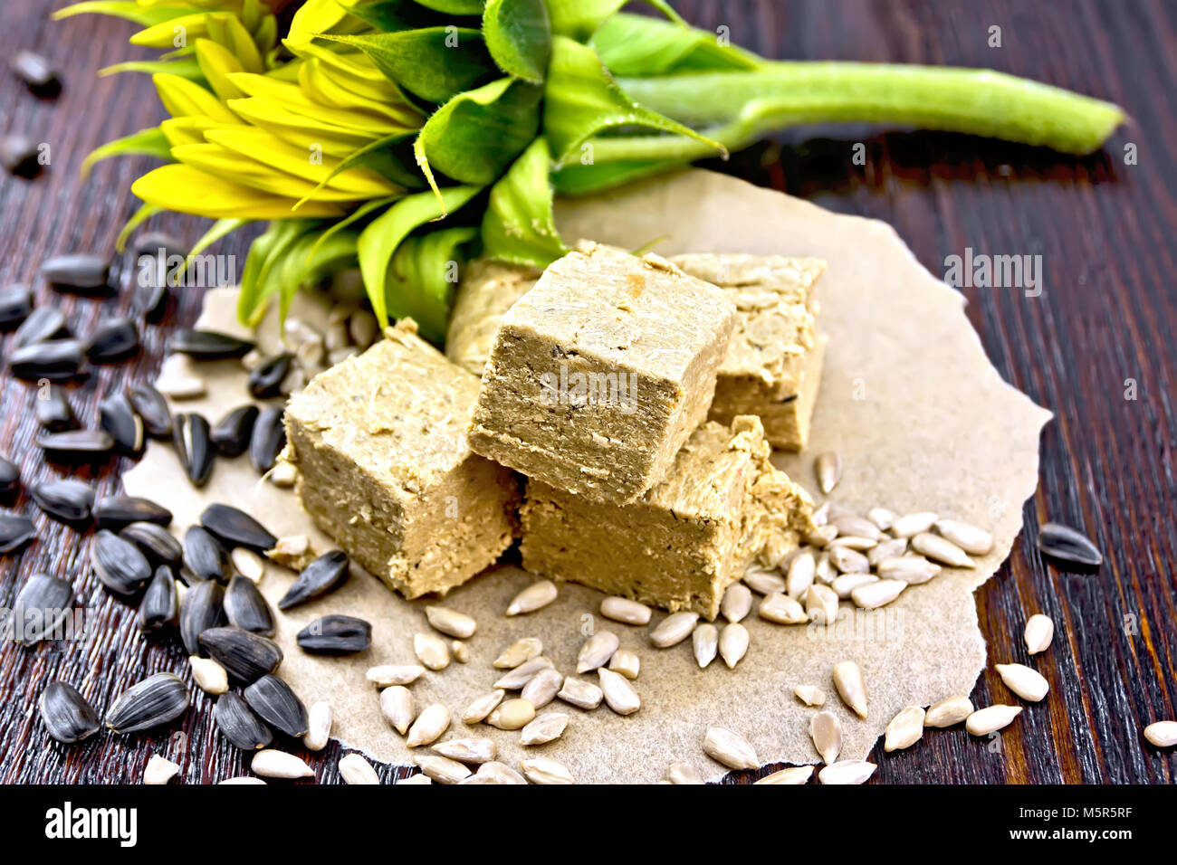 Eastern sweet halva sunflower on paper, sunflower seeds and flower on a ...