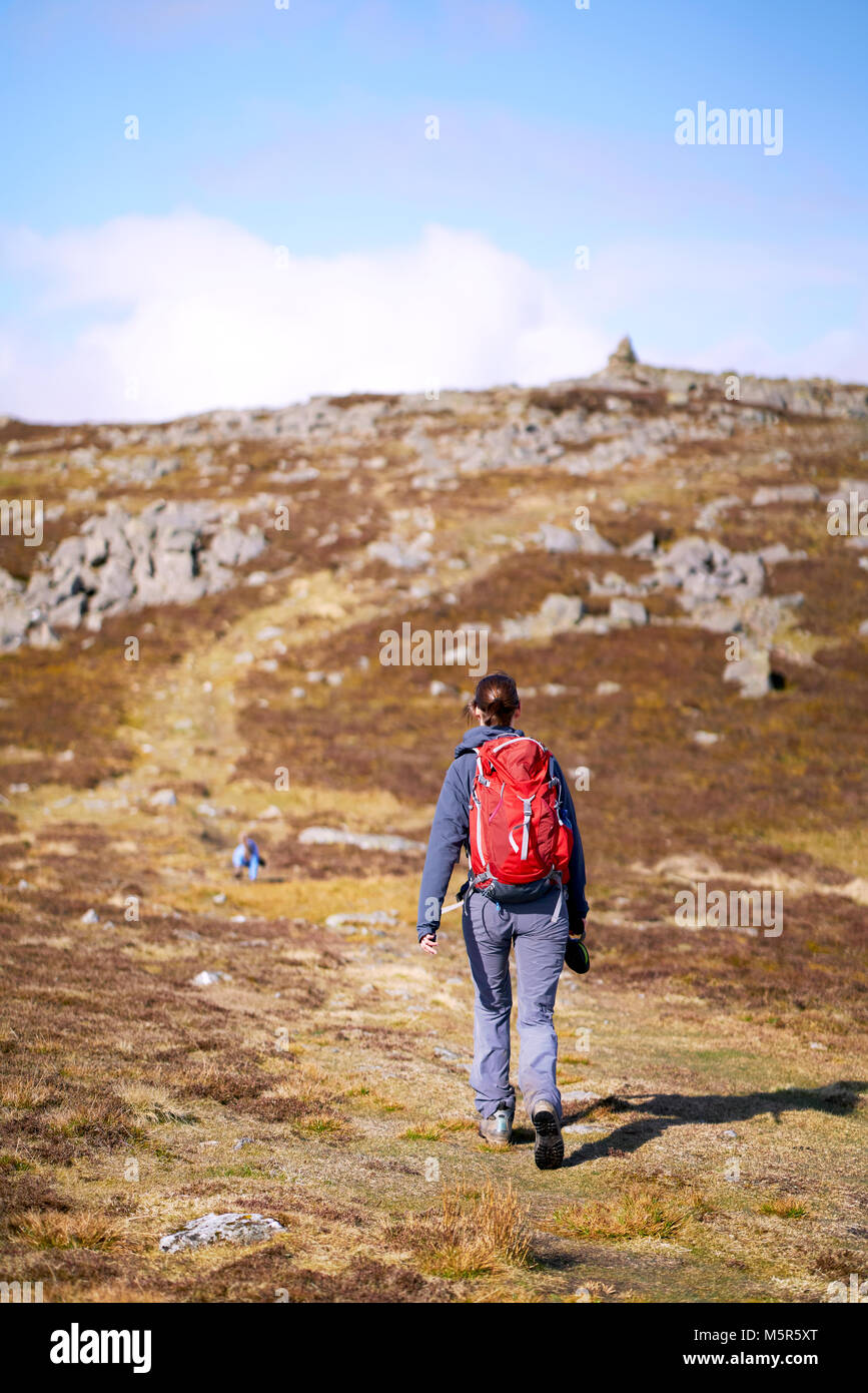 A hiker and their dog approaching the summit of Carrock Fell in the ...