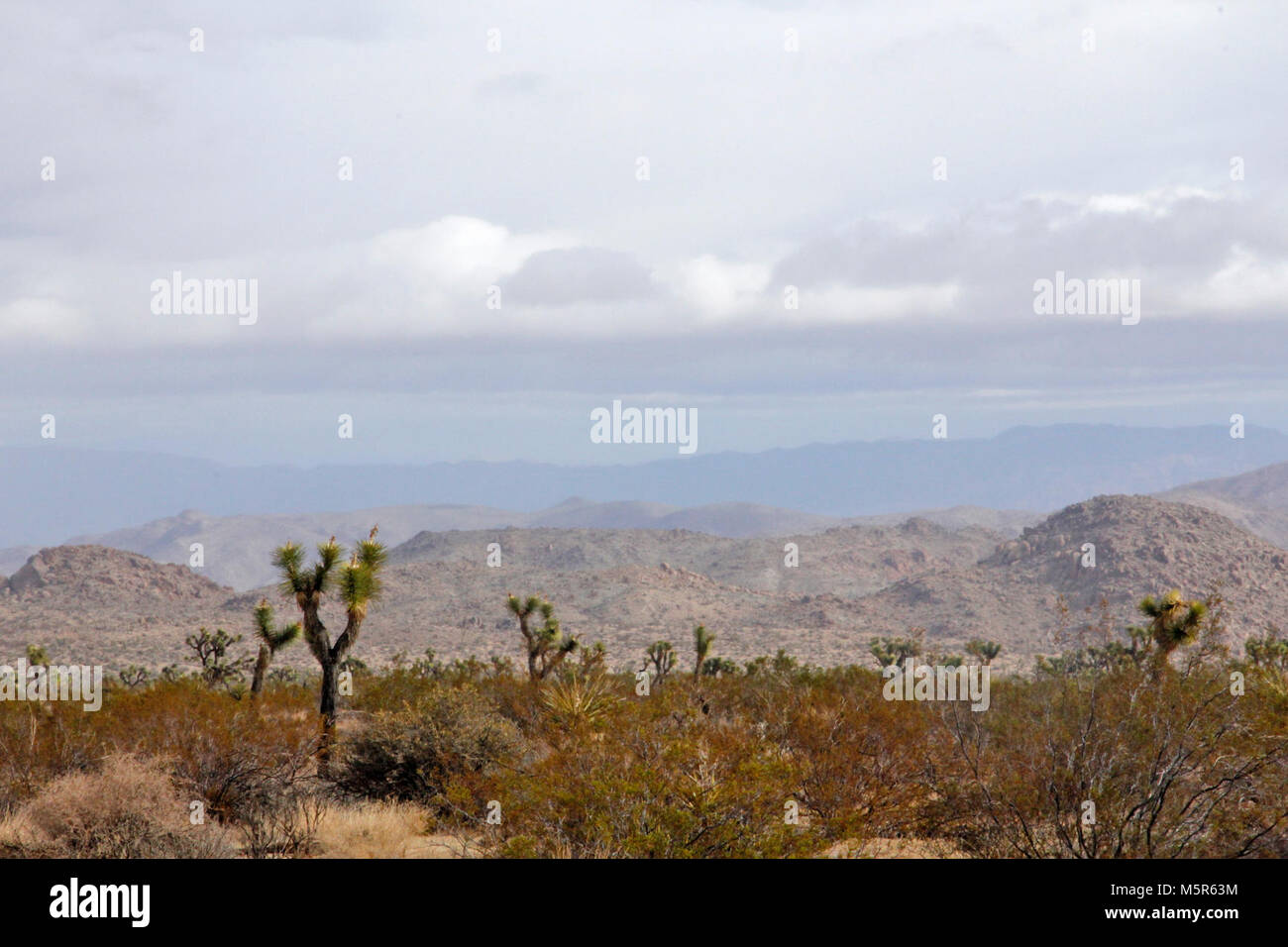 Morongo valley hi-res stock photography and images - Alamy