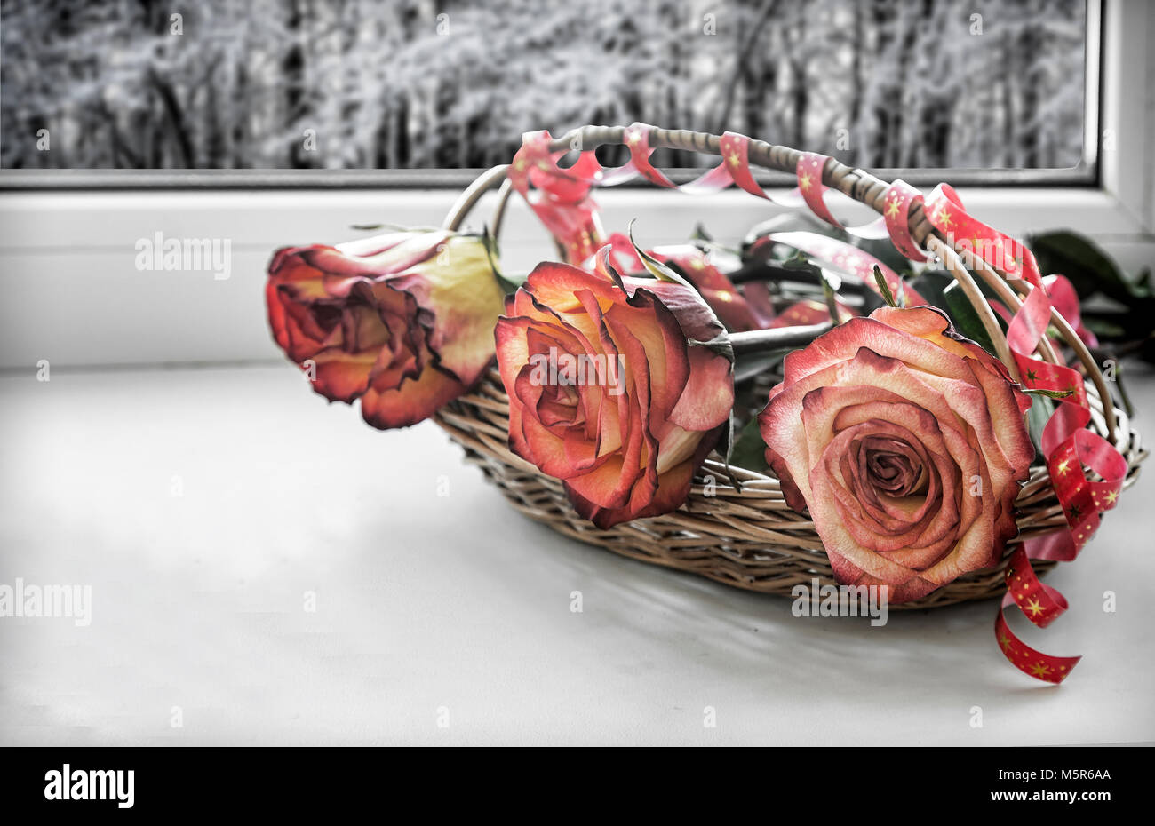 Wicker basket with beautiful bright roses on the surface of the window ...