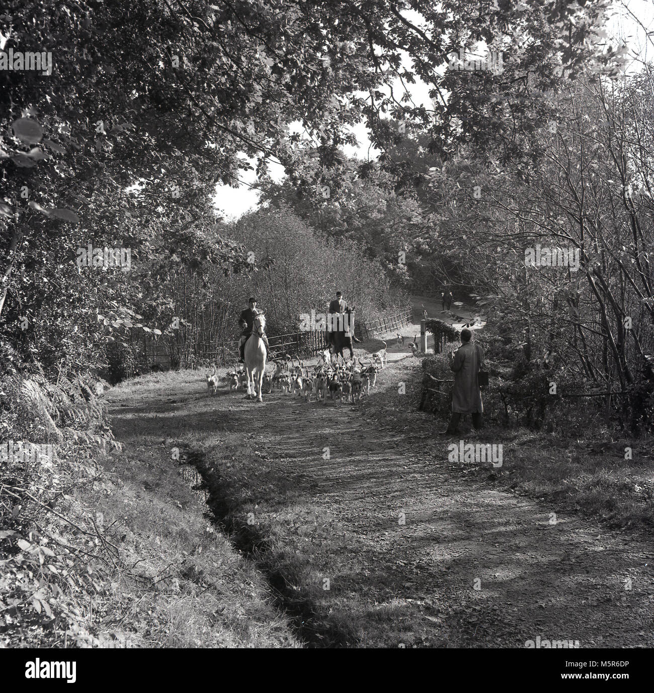 1950s hunting hi-res stock photography and images - Alamy