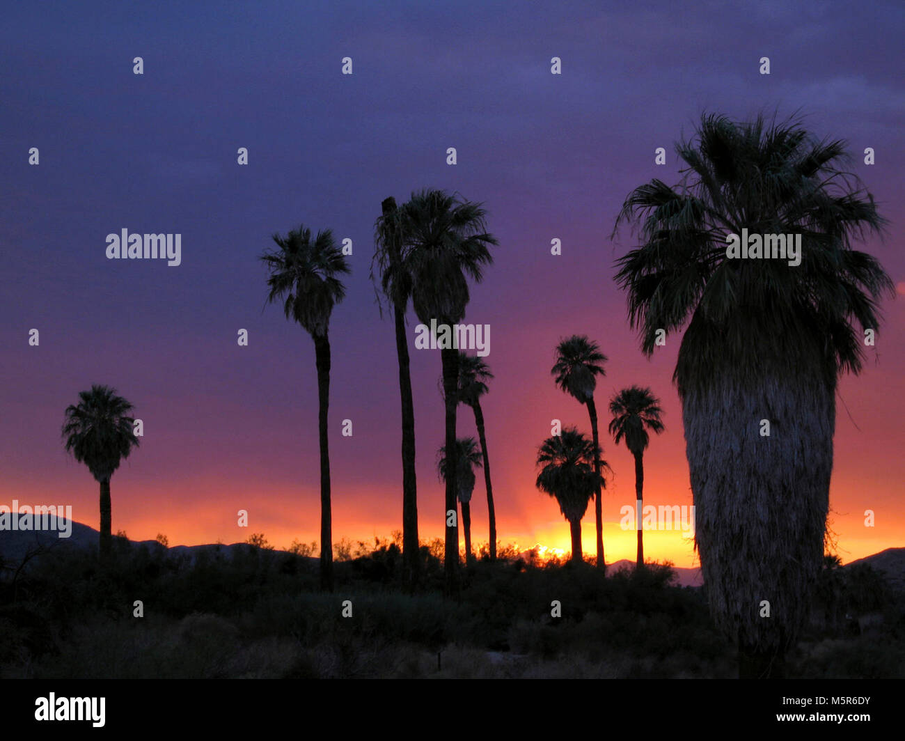 Oasis of Mara Stock Photo - Alamy