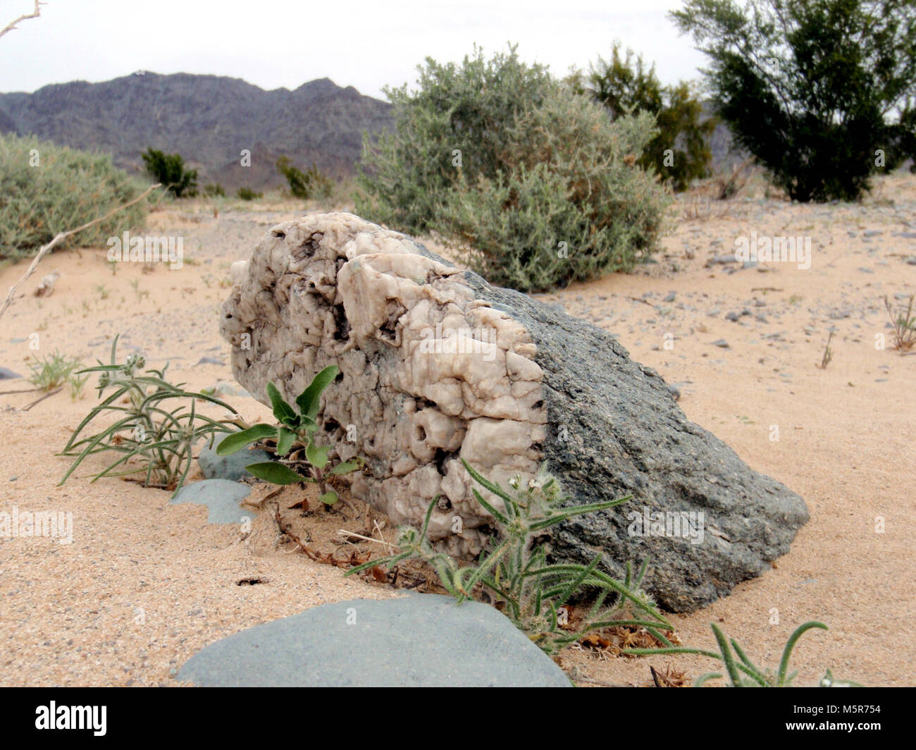 Veined rock hi-res stock photography and images - Alamy
