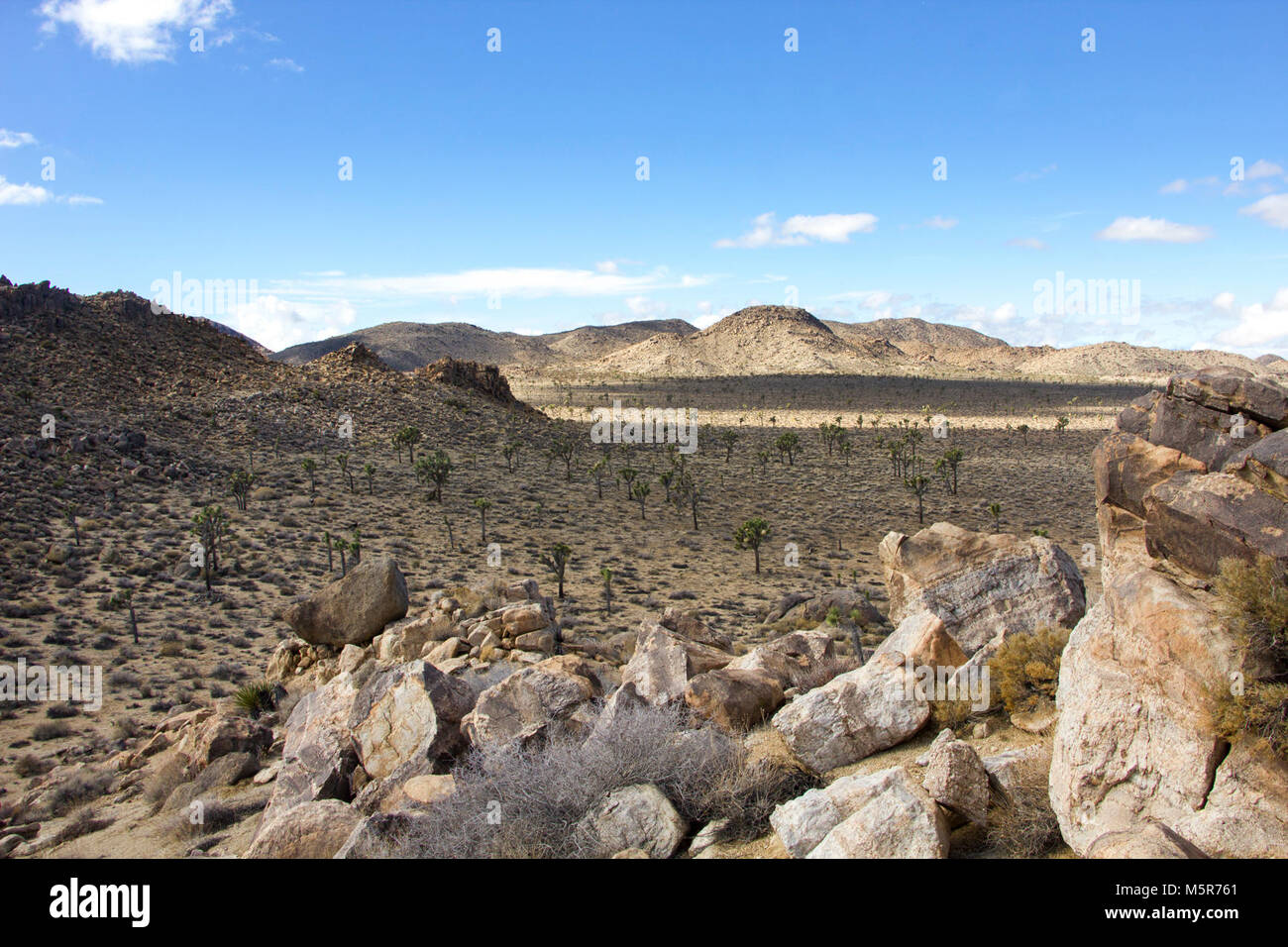Queen Valley landscape Stock Photo - Alamy