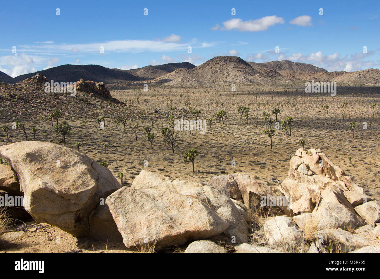 Queen Valley landscape Stock Photo - Alamy