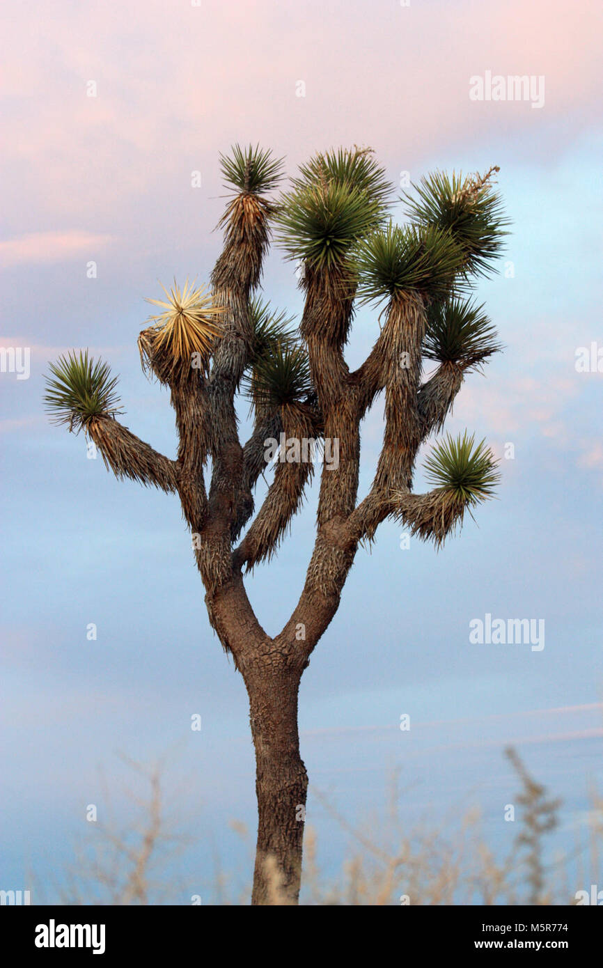 Queen Valley sunset Stock Photo - Alamy