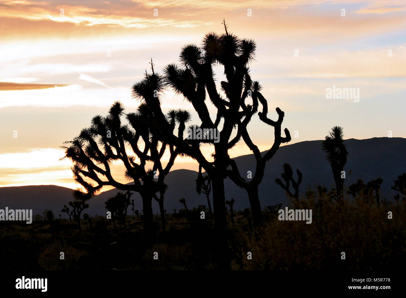 Queen Valley sunset Stock Photo - Alamy