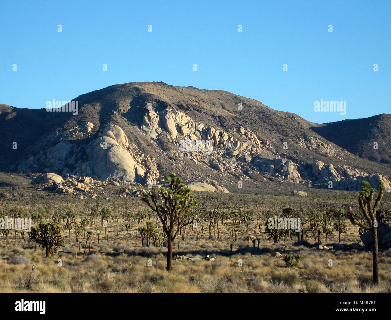 Colorado ryan hi-res stock photography and images - Alamy