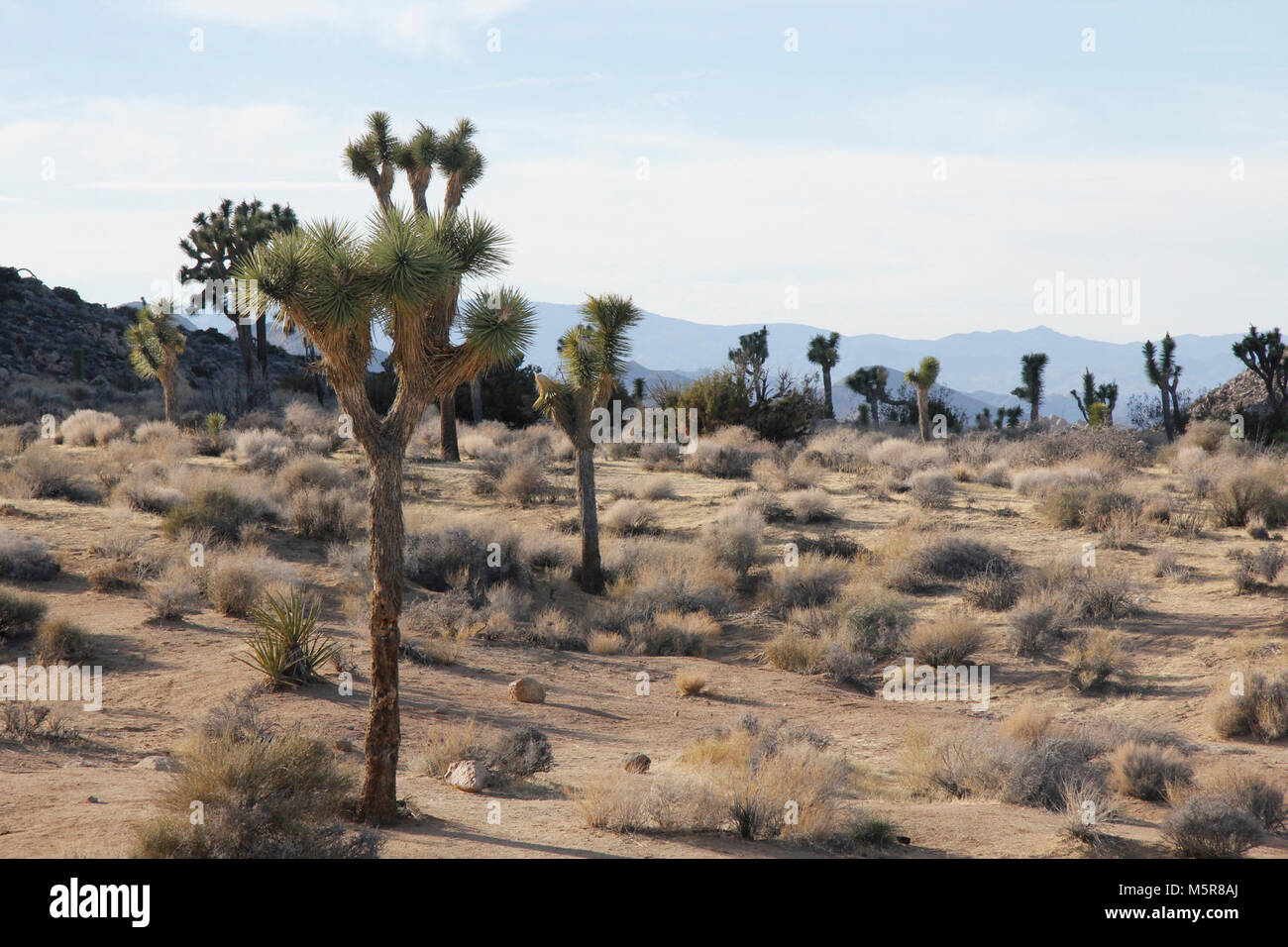 Sheep Pass Campground . Sheep Pass Group Campground is centrally ...