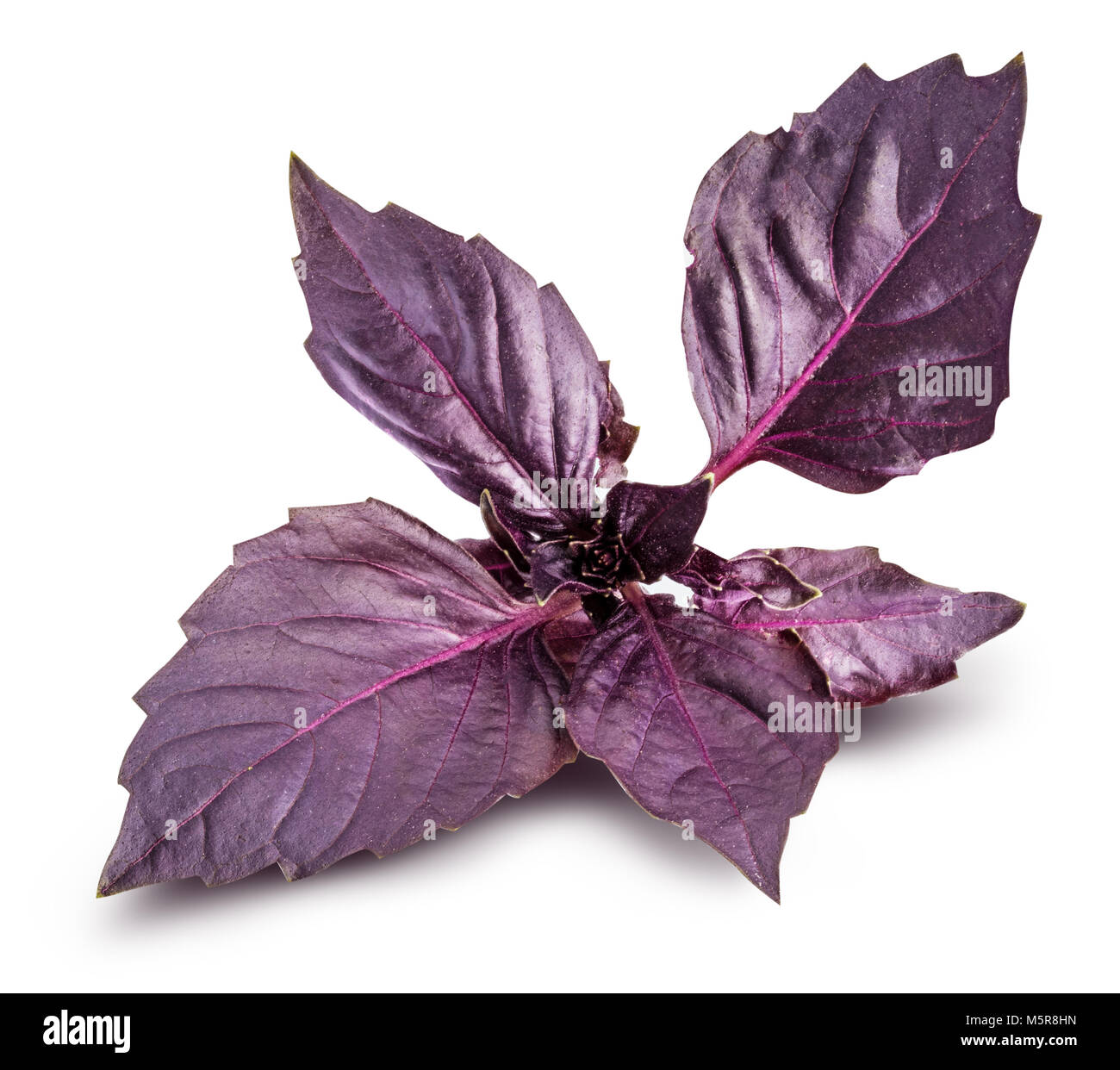 Raw opal Cut Out Stock Images & Pictures - Alamy