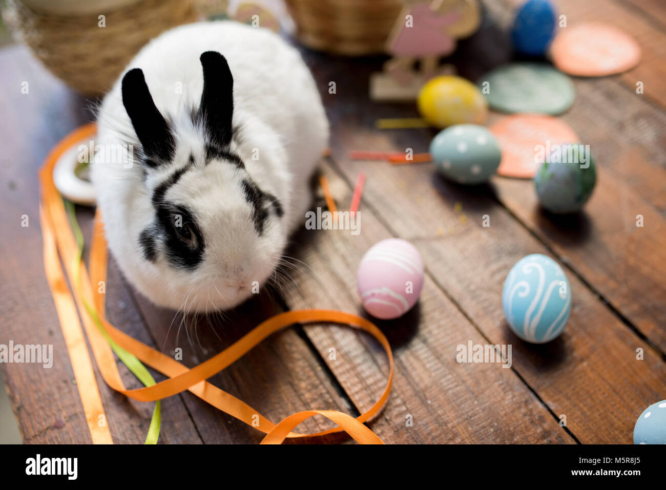 High angle portrait of little adorable bunny posing next to Easter eggs ...