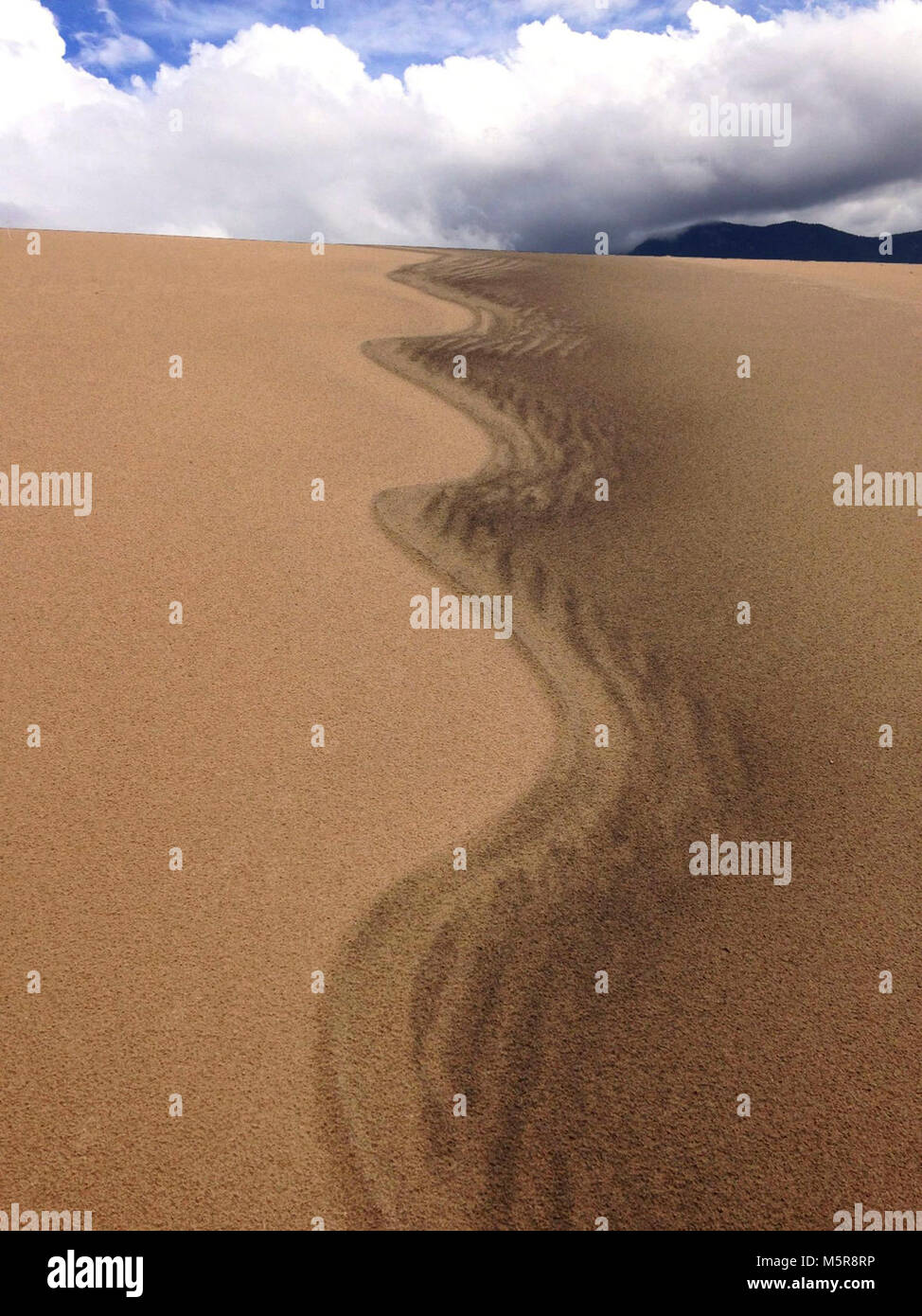 Sinuous Dune Ripple Stock Photo - Alamy