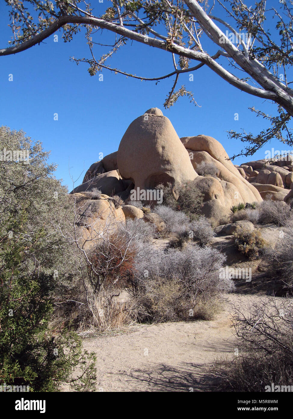 Skull Rock Stock Photo - Alamy