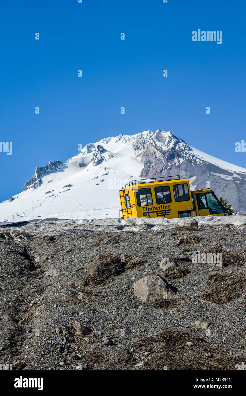 Snow lodge cat hi-res stock photography and images - Alamy