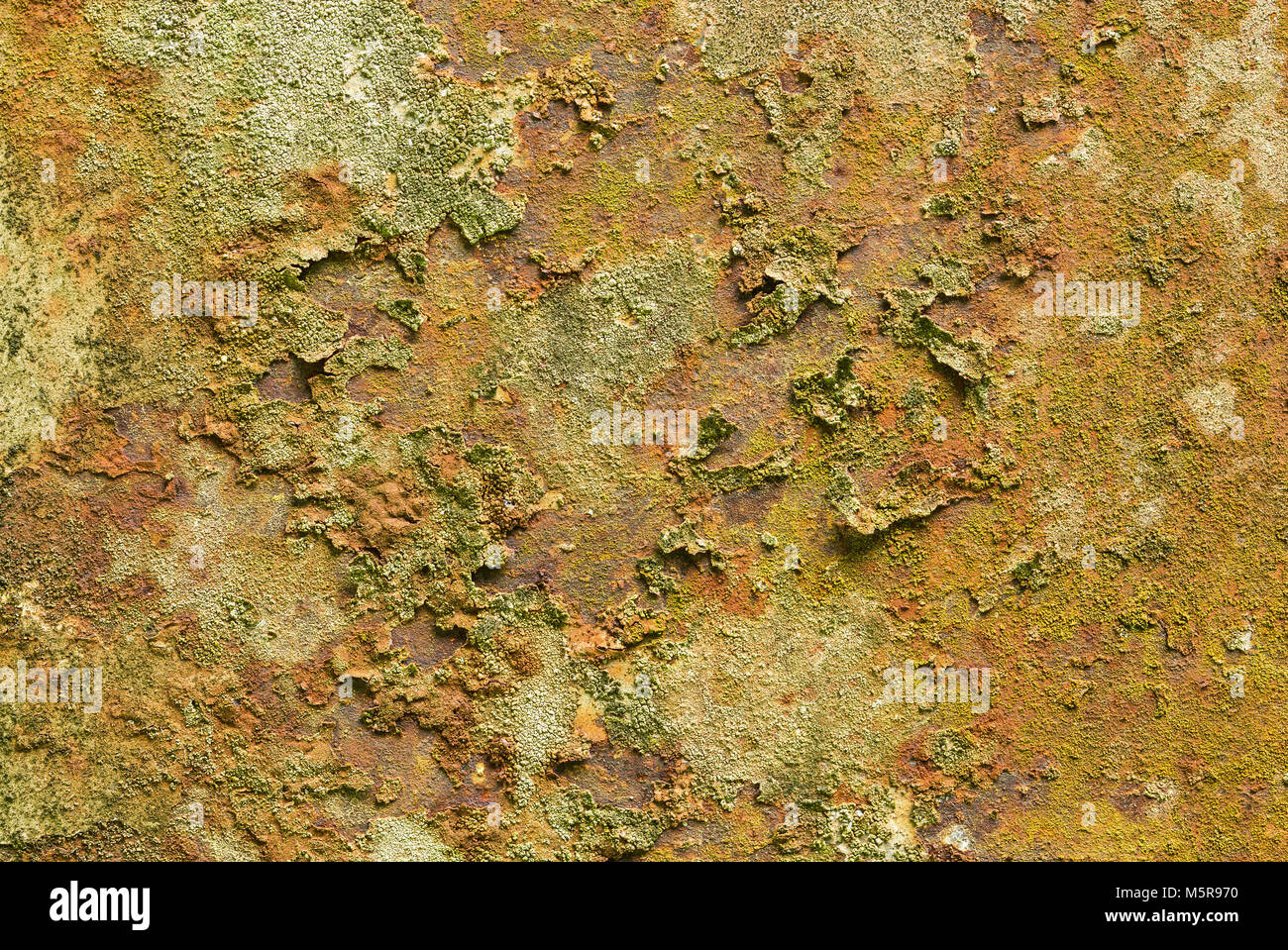 Old rusty metal sheet Stock Photo - Alamy