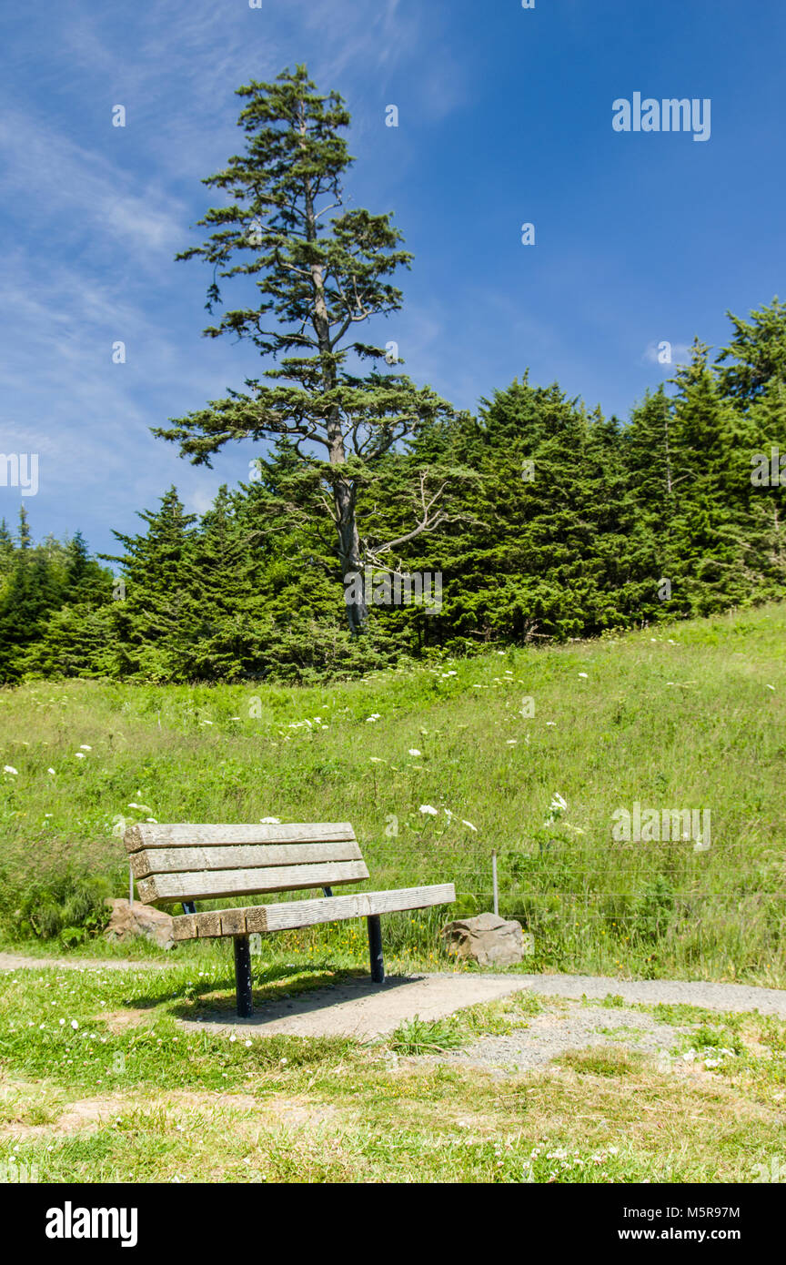 Park park bench hi-res stock photography and images - Alamy