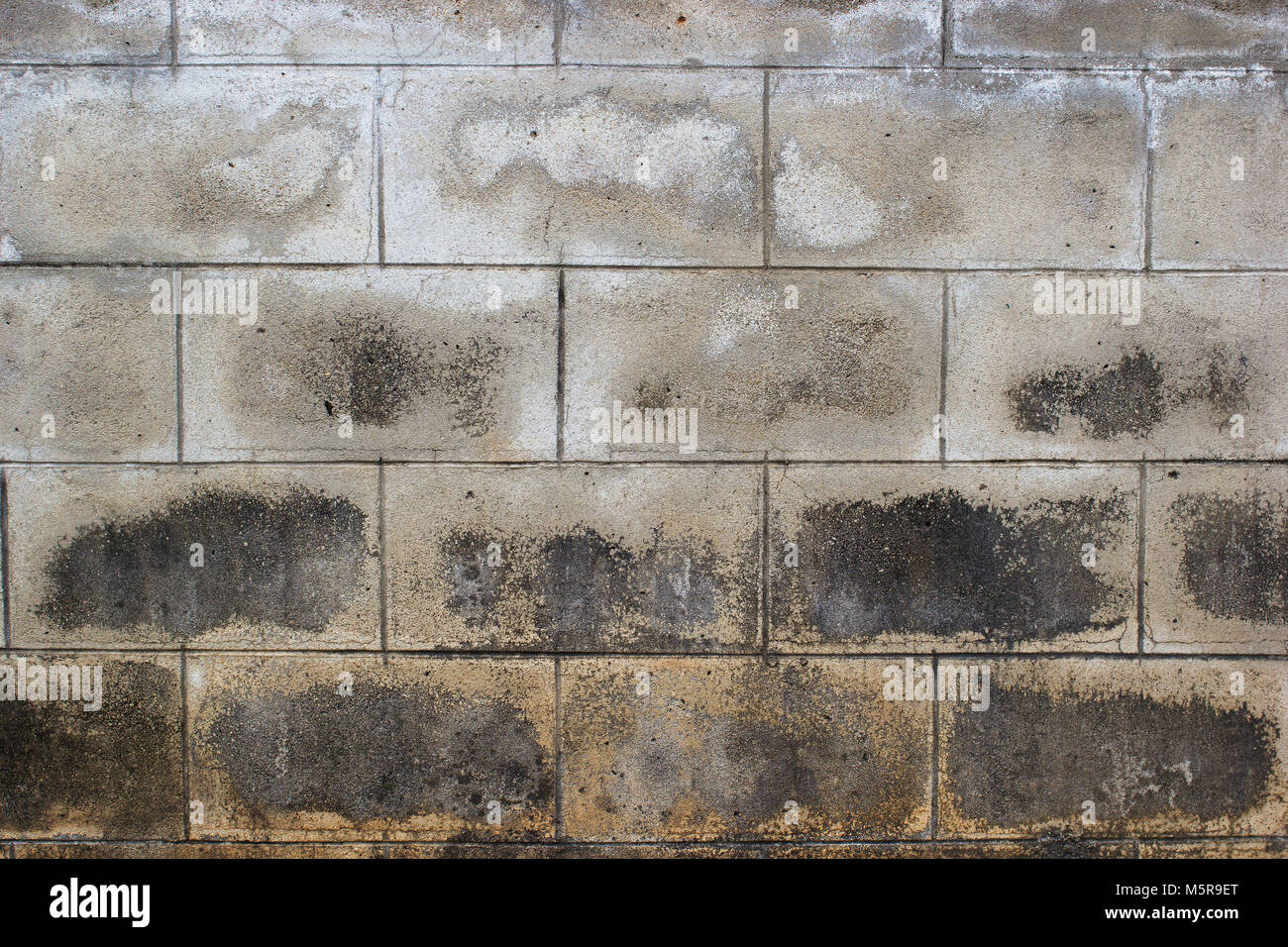 Close up old concrete wall pattern texture background Stock Photo - Alamy