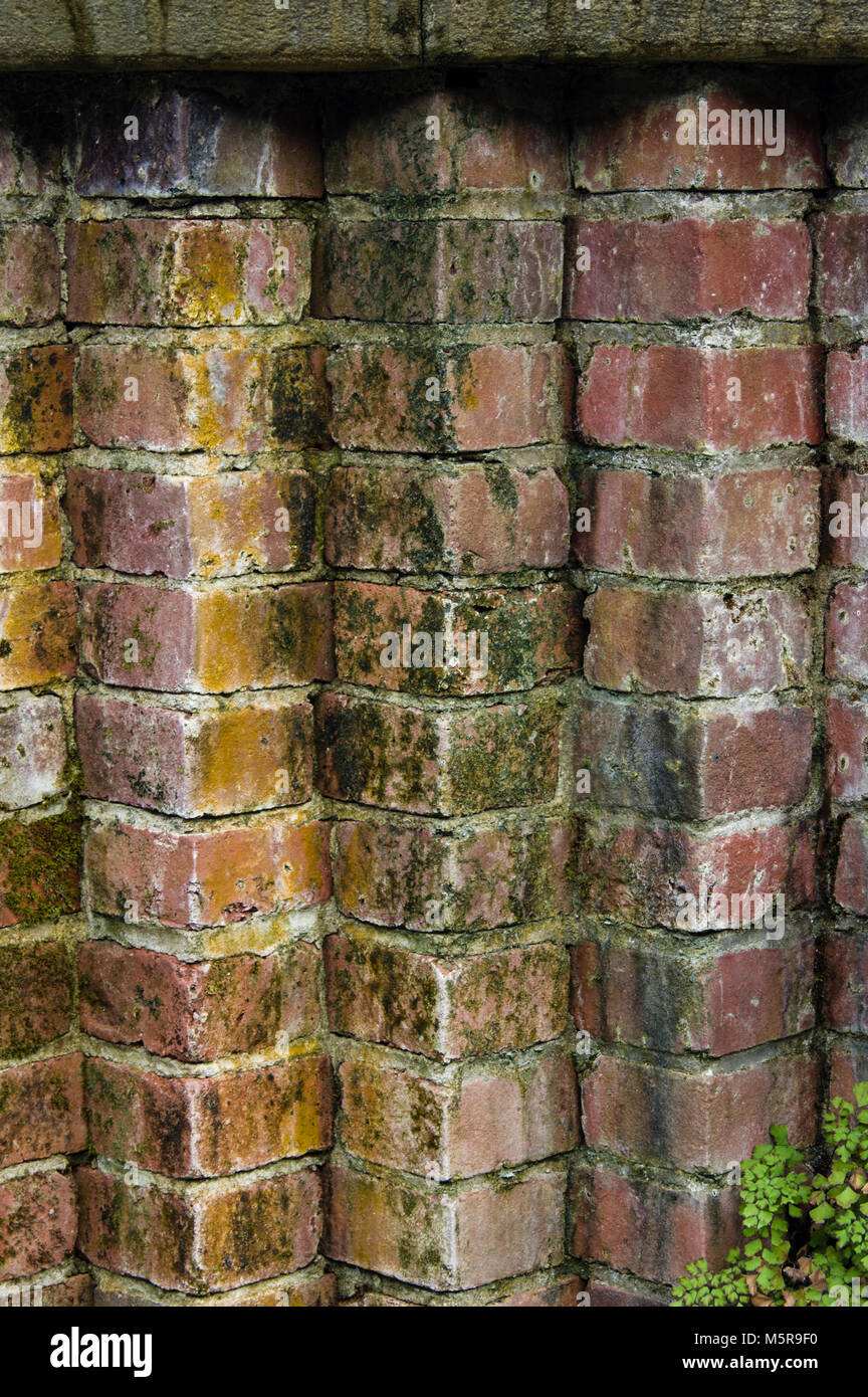Detail of an ornamental brick wall at Phipps Conservatory, Pittsburgh ...