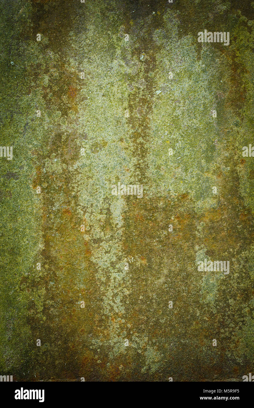 Old rusty metal sheet covered with moss Stock Photo - Alamy