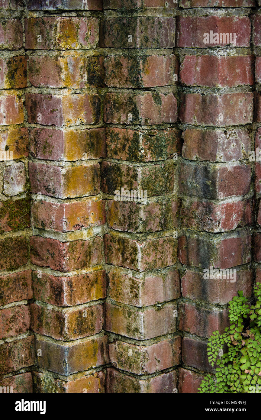 Detail of an ornamental brick wall at Phipps Conservatory, Pittsburgh ...