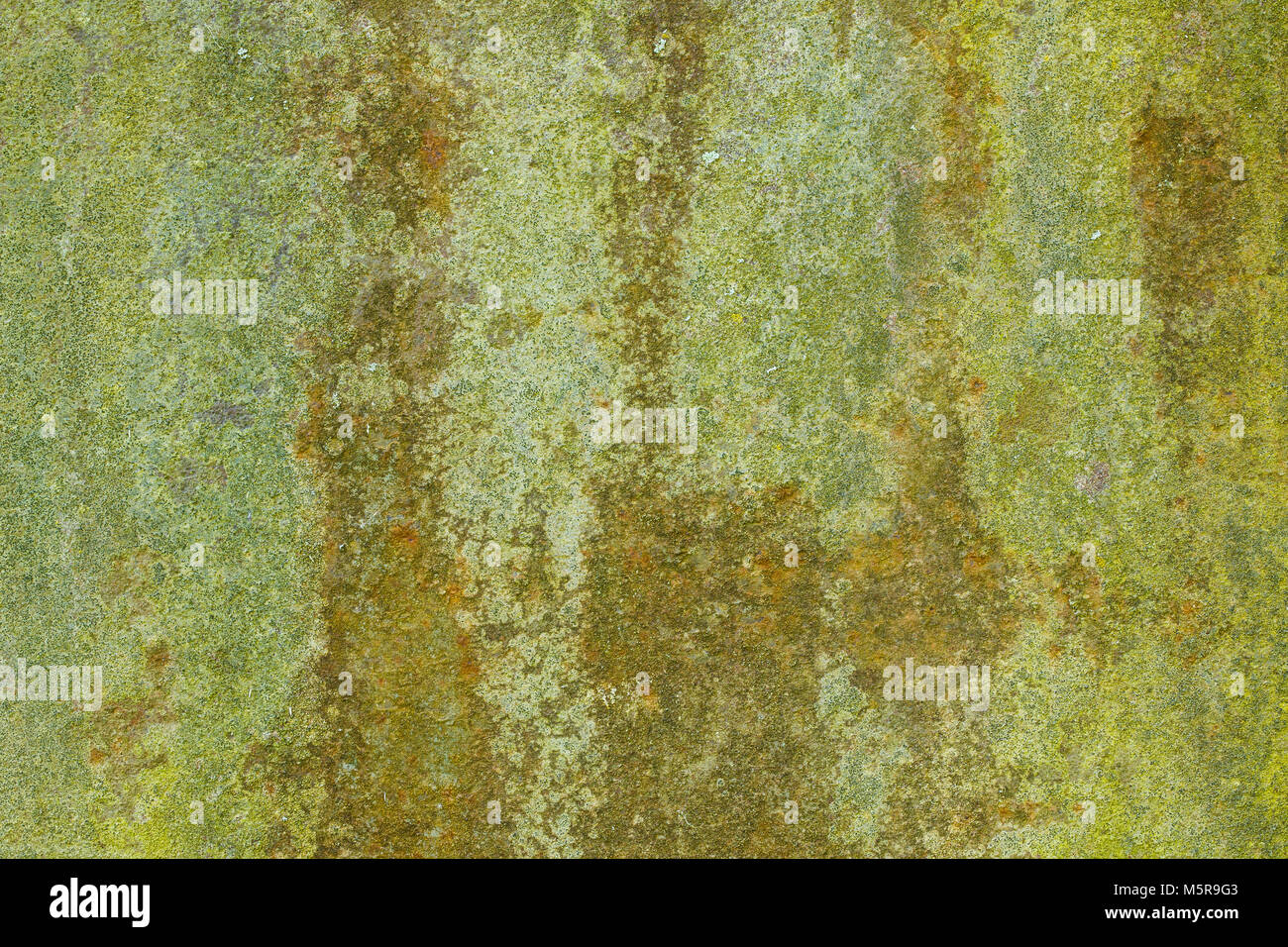 Old rusty metal sheet covered with moss Stock Photo - Alamy