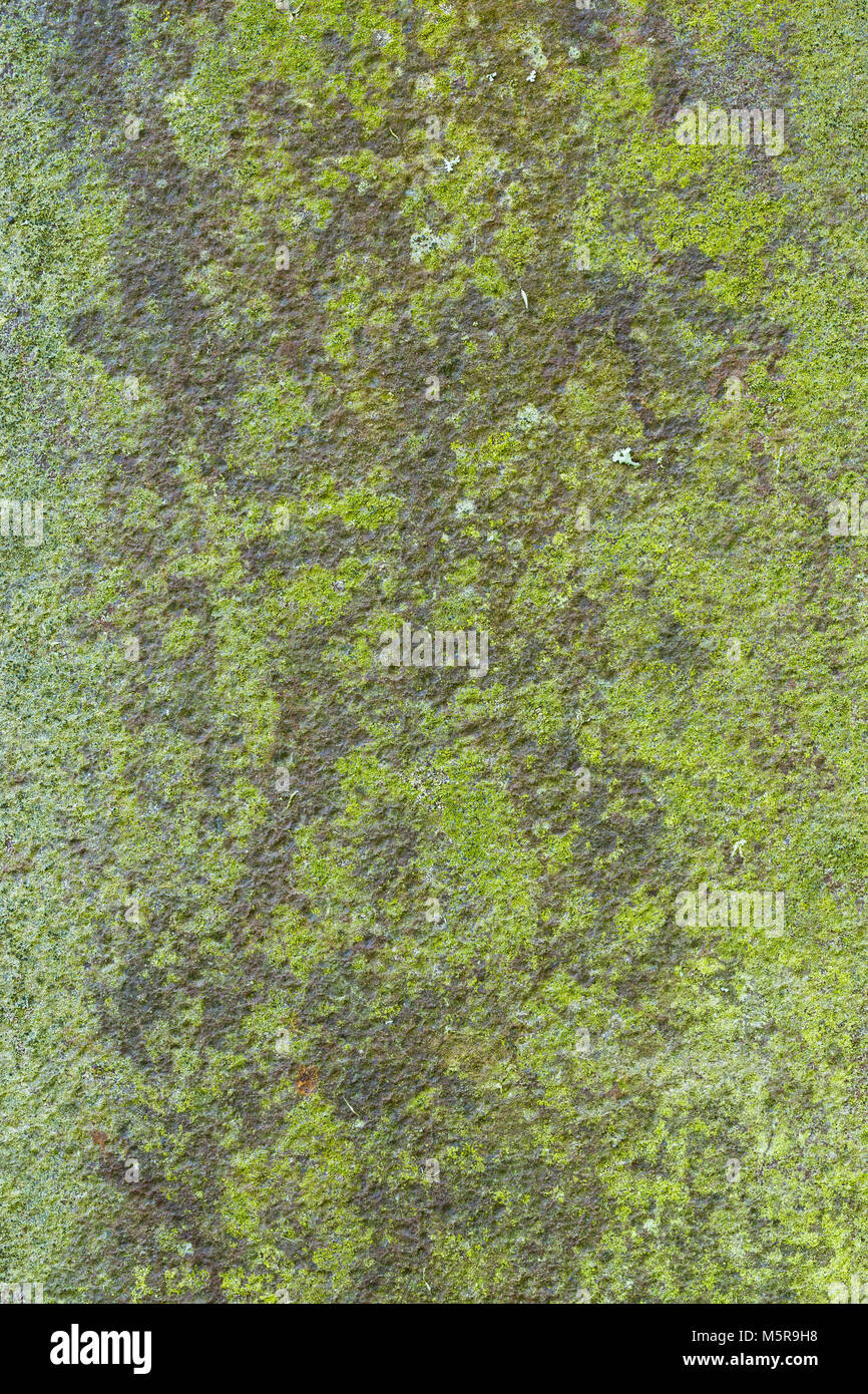 Sheet covered hi-res stock photography and images - Alamy