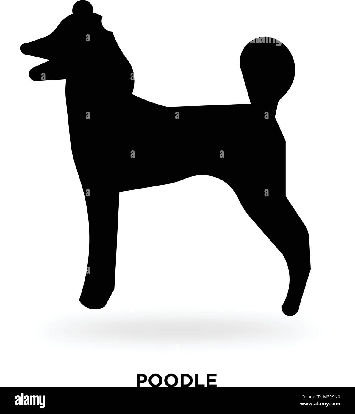 Poodle hair texture hi-res stock photography and images - Alamy