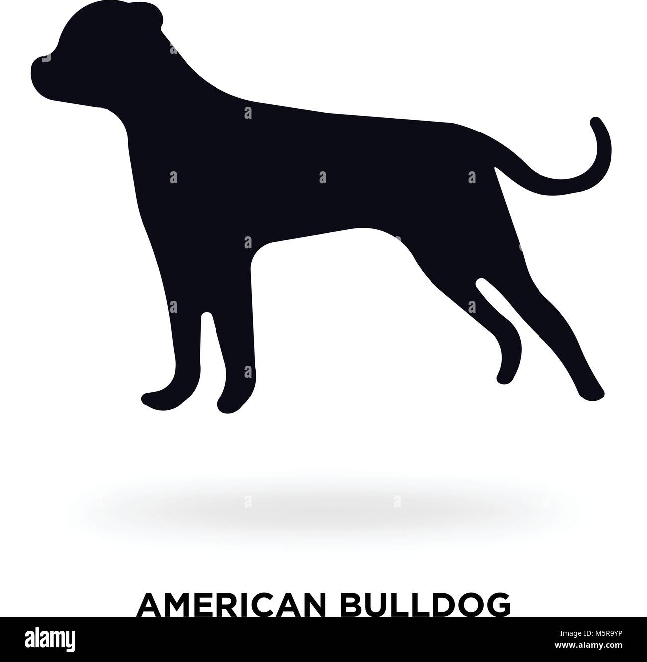 Cute american staffordshire terrier puppy Stock Vector Images - Alamy