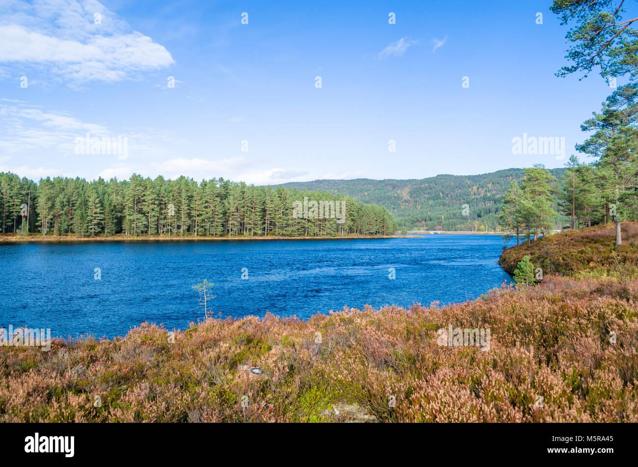 River otra in setesdal norway hi-res stock photography and images - Alamy