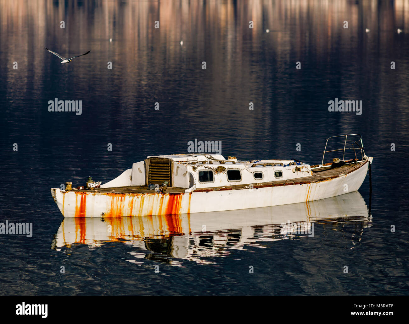 Shipwreck beach wooden ocean hi-res stock photography and images - Alamy