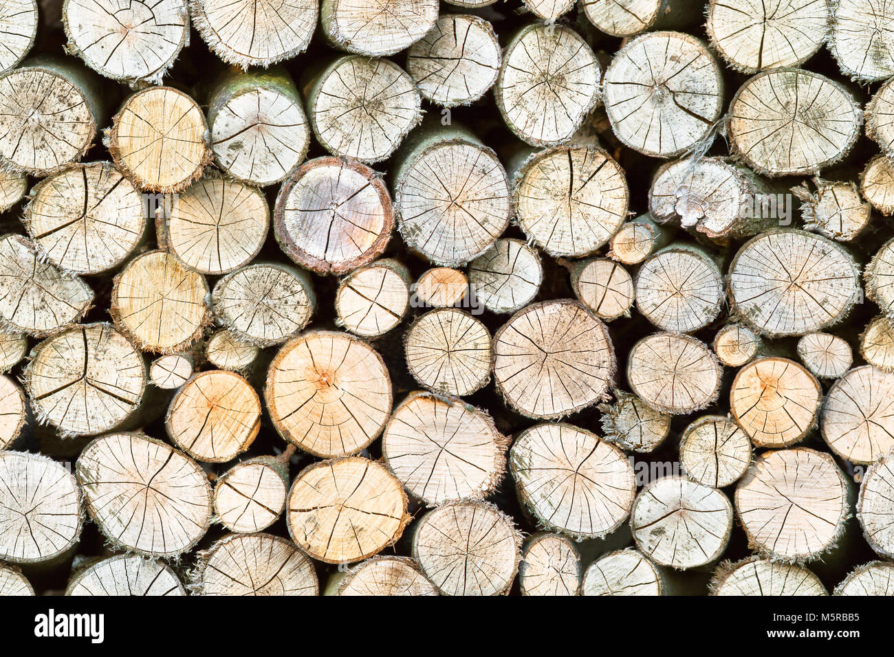 firewoodfree-standing stack seamless pattern Stock Photo - Alamy