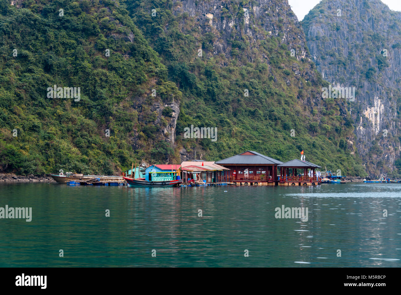 Cua Van floating village, Halong Bay, Vietnam Stock Photo - Alamy