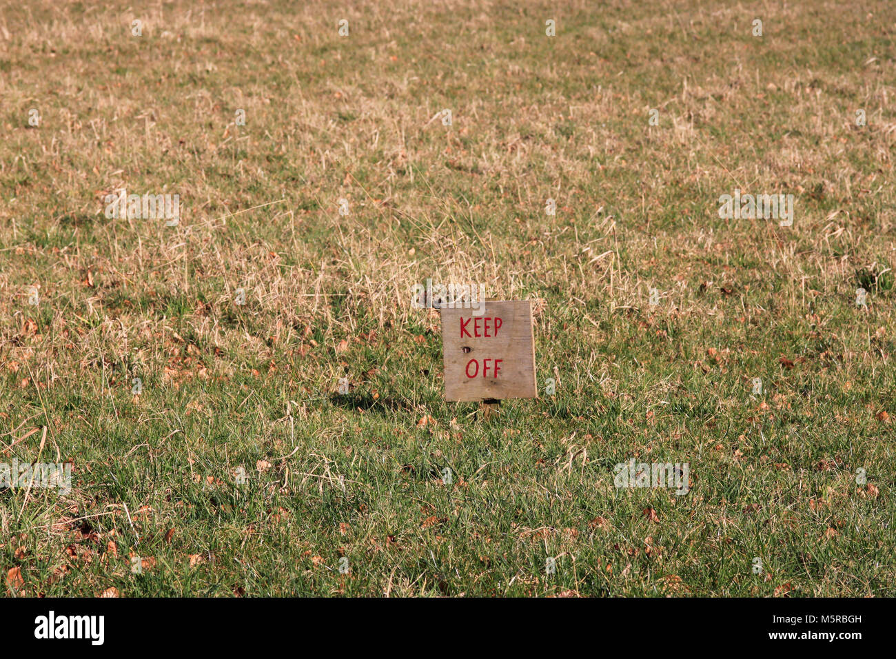 small hand painted 'keep off' sign on a large grass field with nothing ...